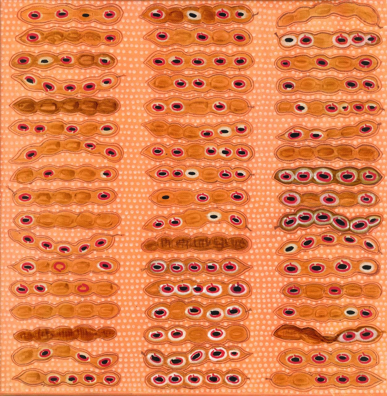 News Story - Artwork of generations at the Town Hall » Albany Arts ...